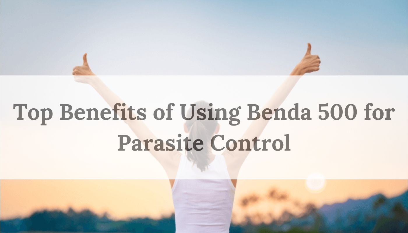 Top Benefits of Using Benda 500 for Parasite Control - Think Pharmacy